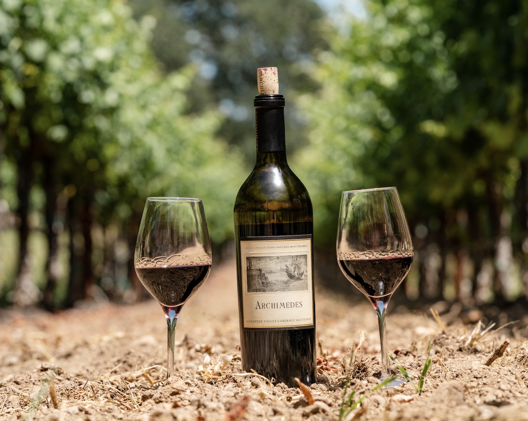 High-Altitude Wines: Why You Need to Try These Hidden Gems